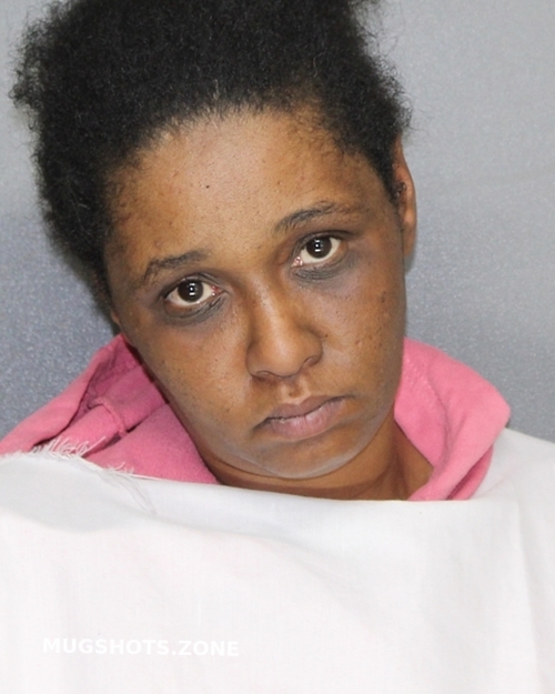 DAVIS TIFFANY NICOLE 02/12/2022 - Ellis County Mugshots Zone