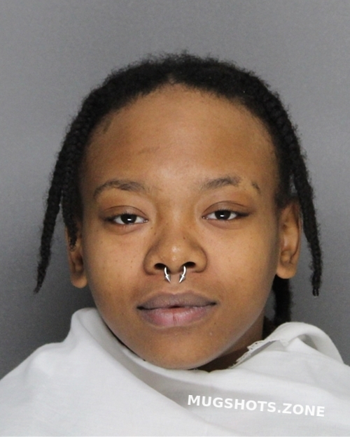 HARRIS FELICITY LASHAE 04/06/2022 - Ellis County Mugshots Zone