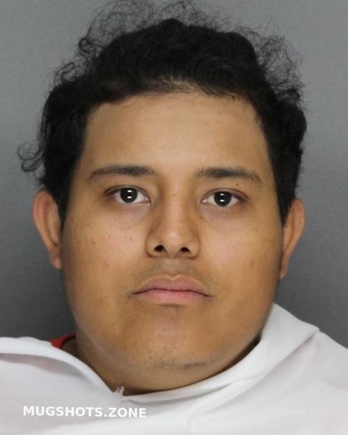 AMAYA FREDI MARTINEZ 06/16/2022 - Ellis County Mugshots Zone