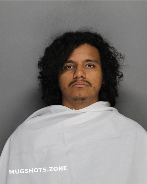 AMAYA NERI 06/16/2022 - Ellis County Mugshots Zone