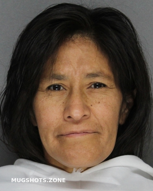 DUKES APRIL LEANN 06/20/2022 - Ellis County Mugshots Zone