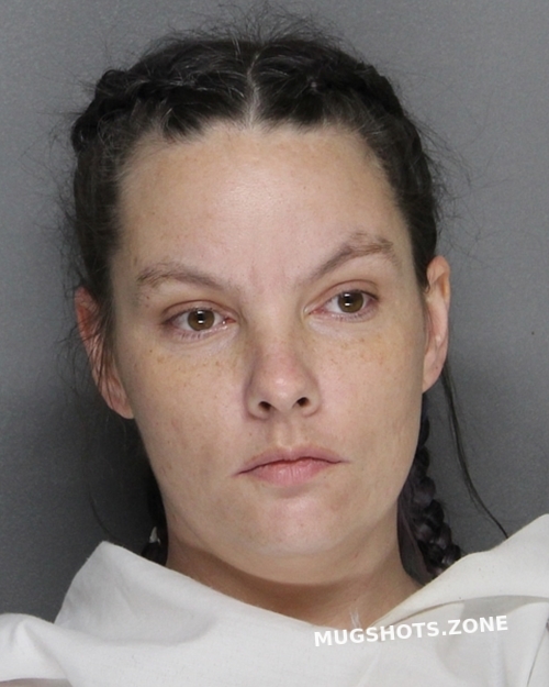 MERRELL HEATHER KRISTIN 08/30/2022 - Ellis County Mugshots Zone