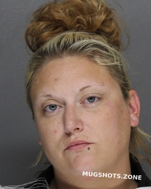 HARRINGTON CHELSIE 11/06/2022 - Ellis County Mugshots Zone