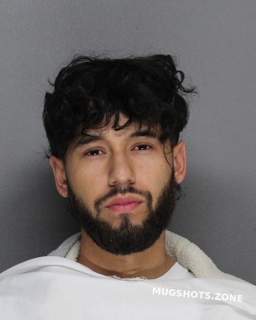 AMADOR ALDO JOSE 11/14/2022 - Ellis County Mugshots Zone