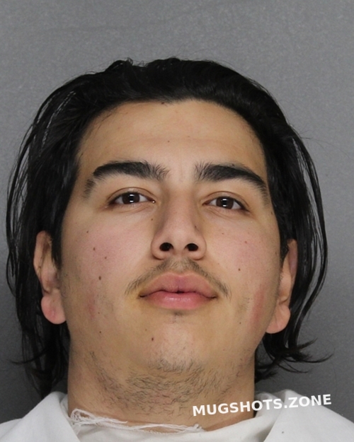 RAMIREZ ANDREW ENRIQUE 01/14/2023 - Ellis County Mugshots Zone
