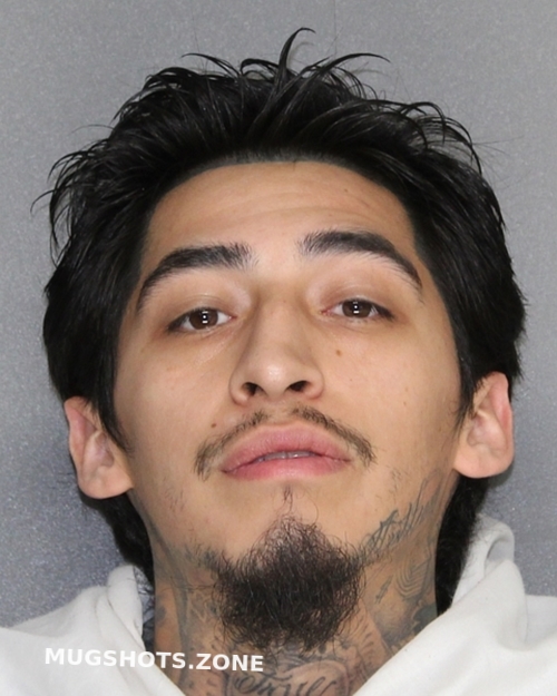 PEREZ JONATHAN DANIEL 01/26/2023 - Ellis County Mugshots Zone