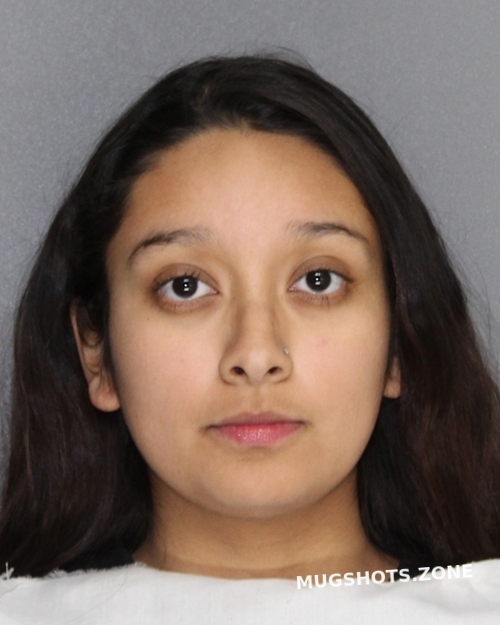 MENDEZ HALEY 01/31/2023 - Ellis County Mugshots Zone