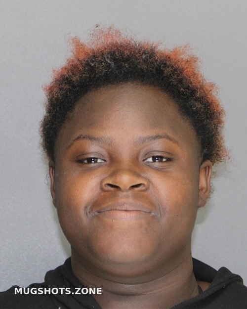 HANDY AMAYA 04/08/2023 - Ellis County Mugshots Zone