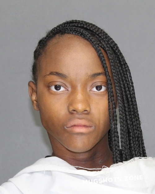 THOMPSON BRENNA JANELL 06/16/2023 - Ellis County Mugshots Zone