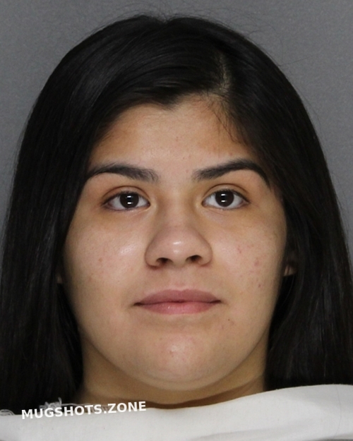 HERNANDEZ RUBY 07/19/2023 - Ellis County Mugshots Zone