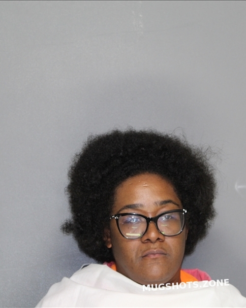 JOHNSON SHANTELL LASHA 08/13/2023 - Ellis County Mugshots Zone