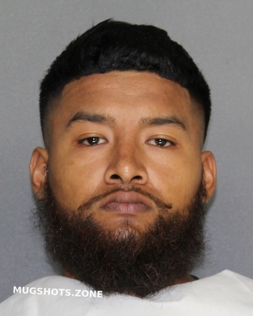 GRANADOS JOSE LUIS 08/13/2023 - Ellis County Mugshots Zone