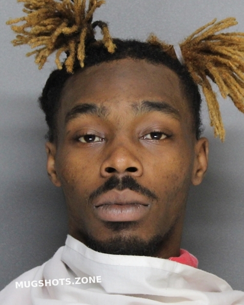 TOWNSEDND KENDALYN 08/13/2023 - Ellis County Mugshots Zone