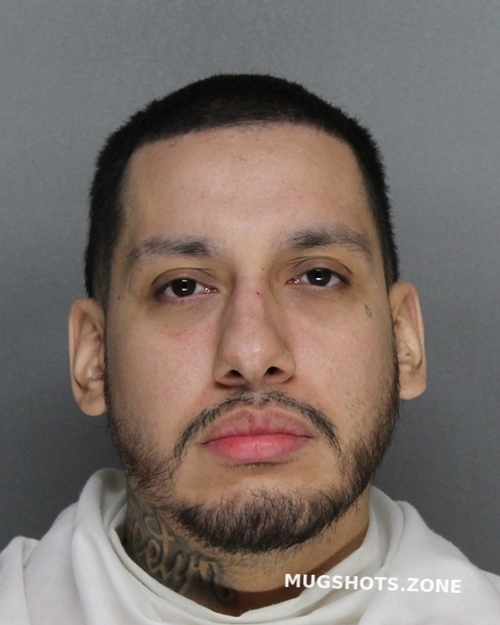 NAVARRO ADRIAN VINCENT 08/31/2023 - Ellis County Mugshots Zone