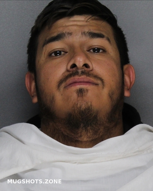 CASTILLO HECTOR YUZAR 10/20/2023 - Ellis County Mugshots Zone