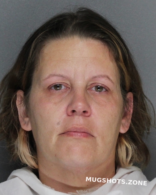 WOODS MISTY DIANE 11/10/2023 - Ellis County Mugshots Zone