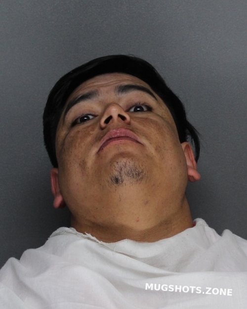 RAMIREZ JESUS EDUARDO 11/12/2023 - Ellis County Mugshots Zone