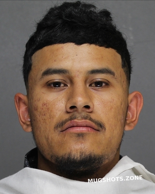 HERNANDEZ EDGAR 11/12/2023 - Ellis County Mugshots Zone