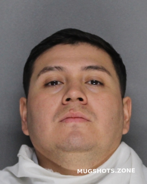 ALVAREZ DAVID ALEXANDER 11/20/2023 - Ellis County Mugshots Zone