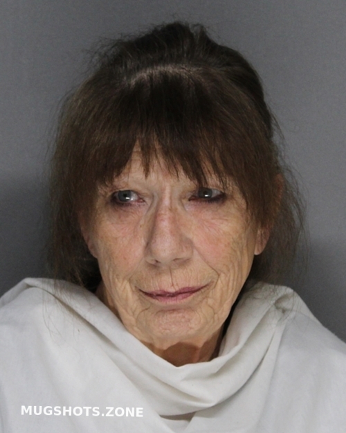 RUSHTON DEBBIE 11/28/2023 - Ellis County Mugshots Zone