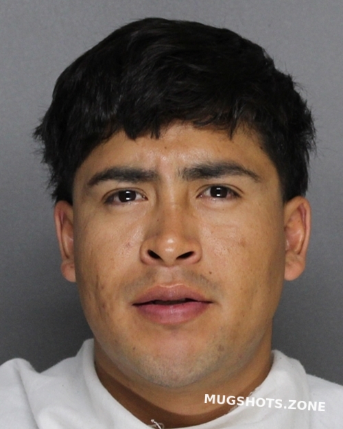 MENDEZ RAUL 12/15/2023 - Ellis County Mugshots Zone