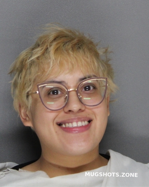GONZALEZ KIMBERLY ANN 12/28/2023 - Ellis County Mugshots Zone