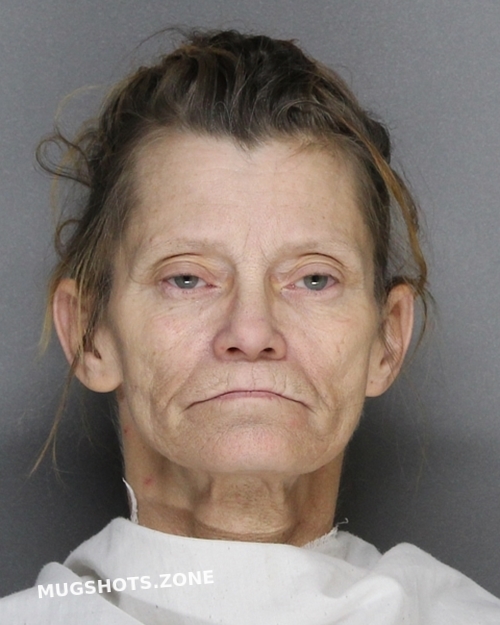 DARDEN LINDA JANE 01/21/2024 - Ellis County Mugshots Zone