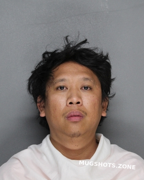LIWANAG JOHN 01/22/2024 - Ellis County Mugshots Zone