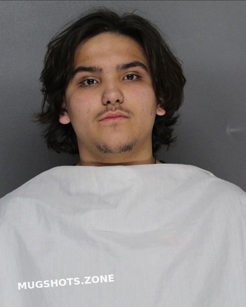 HERNANDEZ KADEN 01/26/2024 - Ellis County Mugshots Zone