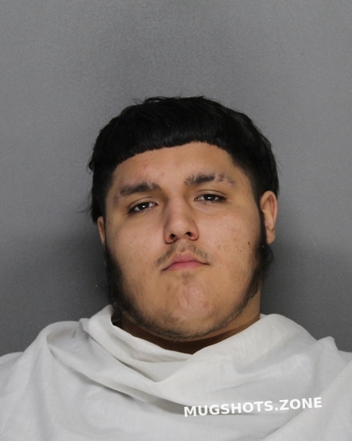 DIAZ NATHANIEL RENE 02/11/2024 - Ellis County Mugshots Zone