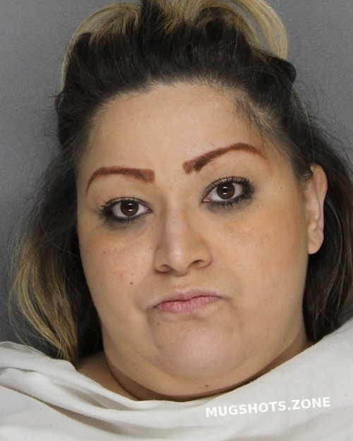 GONZALES KRYSTLE NICOLE 02/27/2024 - Ellis County Mugshots Zone