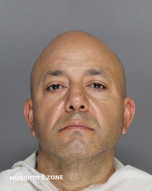 GALLO OVIER JOHAN 03/14/2024 - Ellis County Mugshots Zone