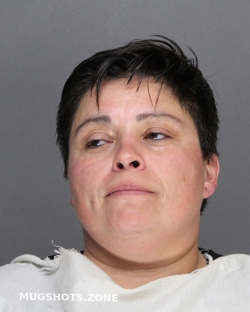 RAMIREZ ERICA LYNN 03/17/2024 - Ellis County Mugshots Zone