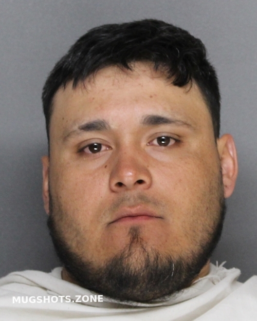 HIGAREDA DANIEL 03/24/2024 - Ellis County Mugshots Zone