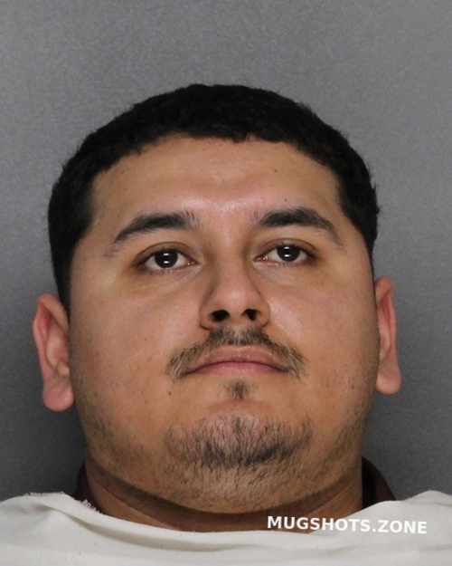 TORRES CARLOS WENCES 03/28/2024 - Ellis County Mugshots Zone
