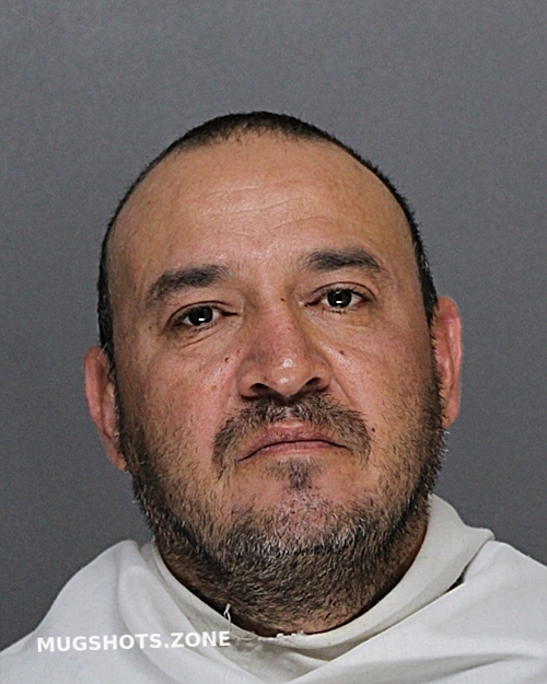 ROBLES DANIEL 08/26/2024 - Ellis County Mugshots Zone