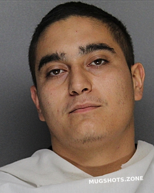 SILVA MARCUS ANTHONY 08/30/2024 - Ellis County Mugshots Zone