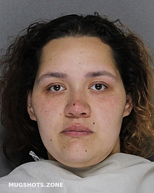 GALVAN KRYSTAL SHANTEL 08/30/2024 - Ellis County Mugshots Zone