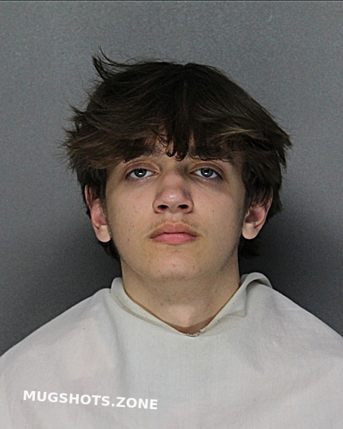 SWEENEY AYDEN 11/08/2024 - Ellis County Mugshots Zone
