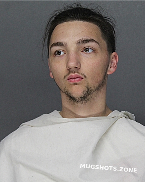 VALENCIA ROBERT STEVEN 11/20/2024 - Ellis County Mugshots Zone