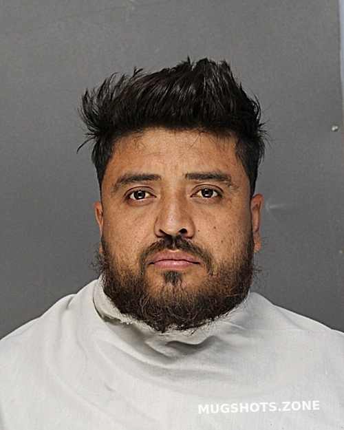 TORRES-AVILES CHRISTIAN 11/26/2024 - Ellis County Mugshots Zone