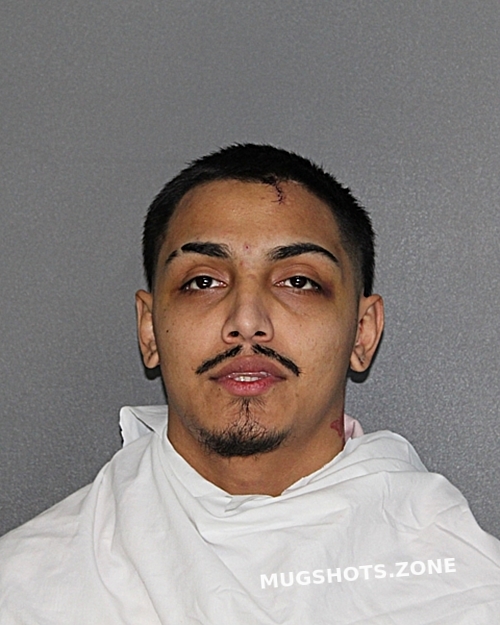SERRANO ARMANDO ANTHONY 01/21/2025 - Ellis County Mugshots Zone