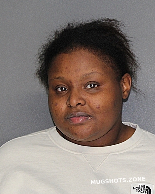 JOHNSON JAHIRA RENEA 01/23/2025 - Ellis County Mugshots Zone