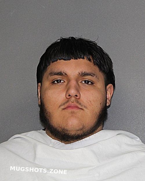 DIAZ NATHANIEL RENE 01/27/2025 - Ellis County Mugshots Zone