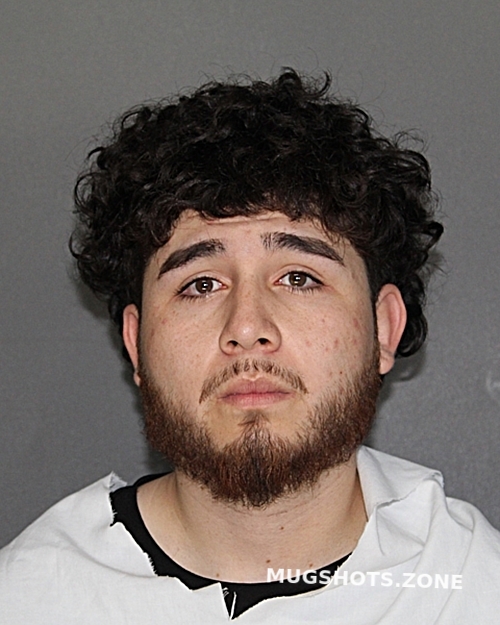MENDOZA JAVIER 01/29/2025 - Ellis County Mugshots Zone