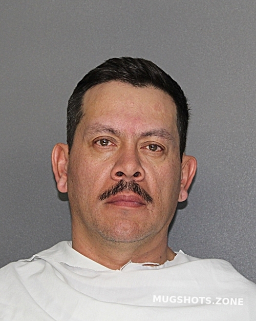 POZO GERARDO ALBERTO 01/31/2025 - Ellis County Mugshots Zone