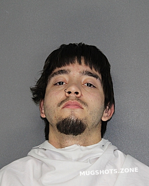 ORTIZ DEVON RAY 02/04/2025 - Ellis County Mugshots Zone