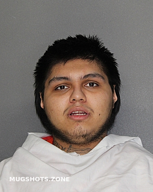MEJIA ROCKY JR 02/06/2025 - Ellis County Mugshots Zone