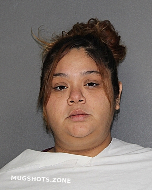 MARTINEZ LORENA VIRGINIA 02/06/2025 - Ellis County Mugshots Zone