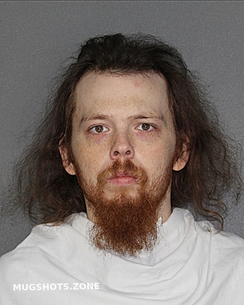 BEARDEN DYLAN JOHN 02/08/2025 - Ellis County Mugshots Zone